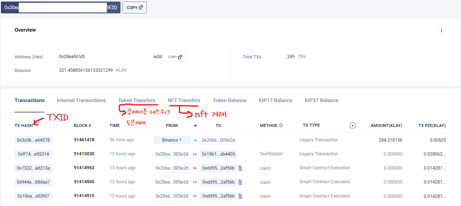 [TXID 확인팁] 블록체인 네트워크별 스캔 사이트 소개 및 정리!
