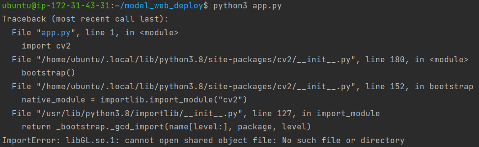 ImportError: libGL.so.1: cannot open shared object file: No such file ...