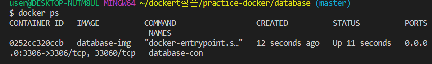 [04] Docker, mySQL바탕의 Dockerfile 만들기(feat.database폴더)