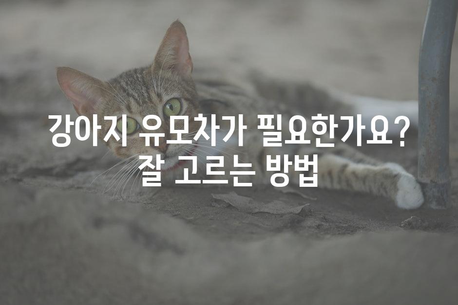 강아지 유모차가 필요한가요? 잘 고르는 방법