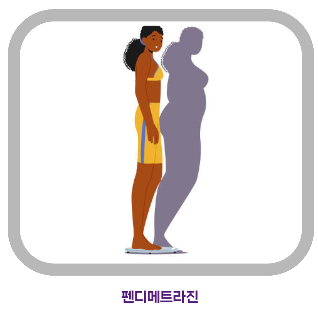 푸링정 펜디메트라진 효능 부작용 식욕억제제