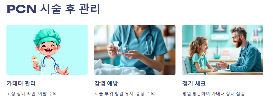 PCN 의학용어 의미 시술 과정 적응증 장,단점 주의사항!