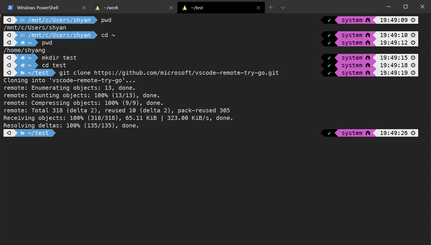 Windows10 WSL2 docker golang debug in vscode