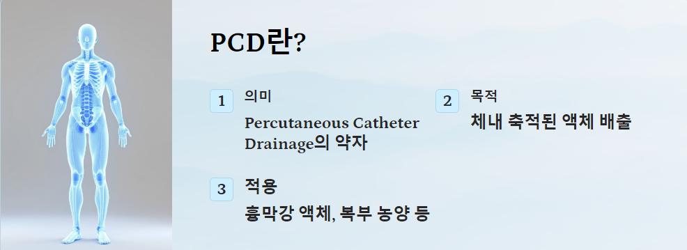 PCD 의학용어 정의 시술방법과 장점 시술시 주의사항!