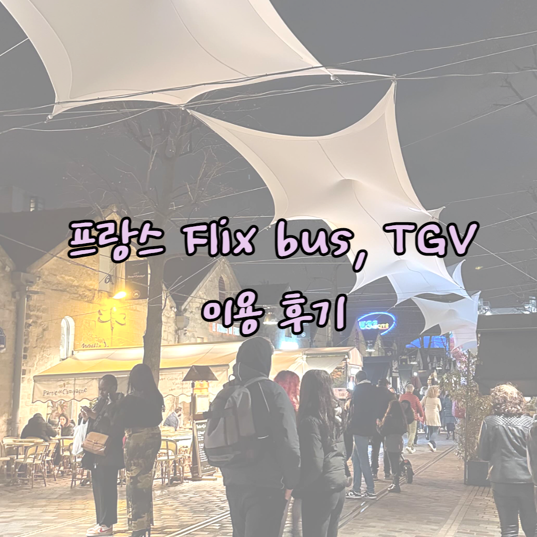 파리-샤모니-니스 이동수단/ Flix Bus, TGV 이용후기