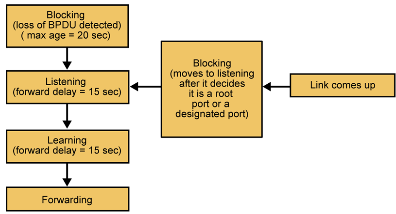 STP(Spanning Tree Protocol) — 💻