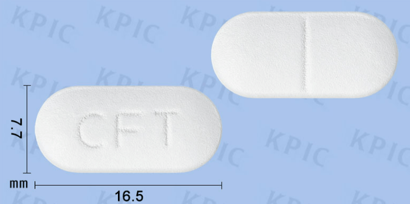 세프틸정 성분정보 효능효과 용법용량 주의사항