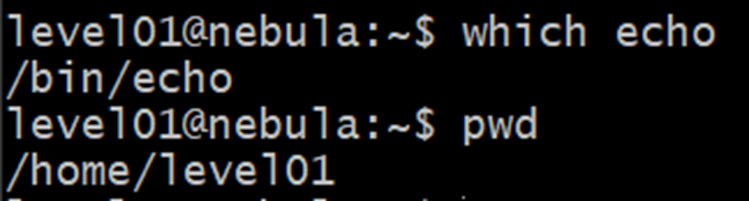 [Exploit-Exercises: Nebula] level01 풀이