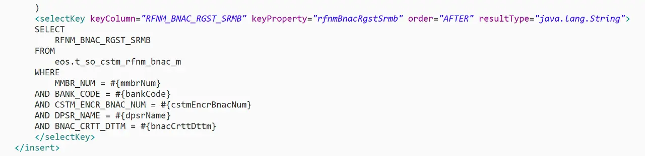 [Spring][mybatis] insert 쿼리 실행 후 리턴값으로 원하는 값을 얻고자 하는 법 + 적용 이슈 해결(selectKey)