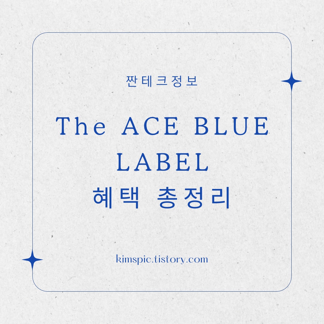 동반 항공권 제공 신용카드 추천 - 신한 The ACE BLUE LABEL 혜택 바우처 라운지 정리