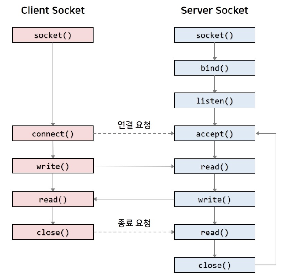 [ Linux ] Raw socket & Scapy 실습 - kakao 실무진 특강 (3)