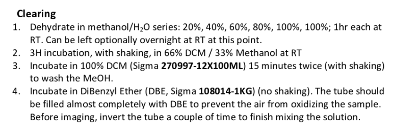 Light Sheet Imaging (iDISCO, SHIELD) 후기. 05222025