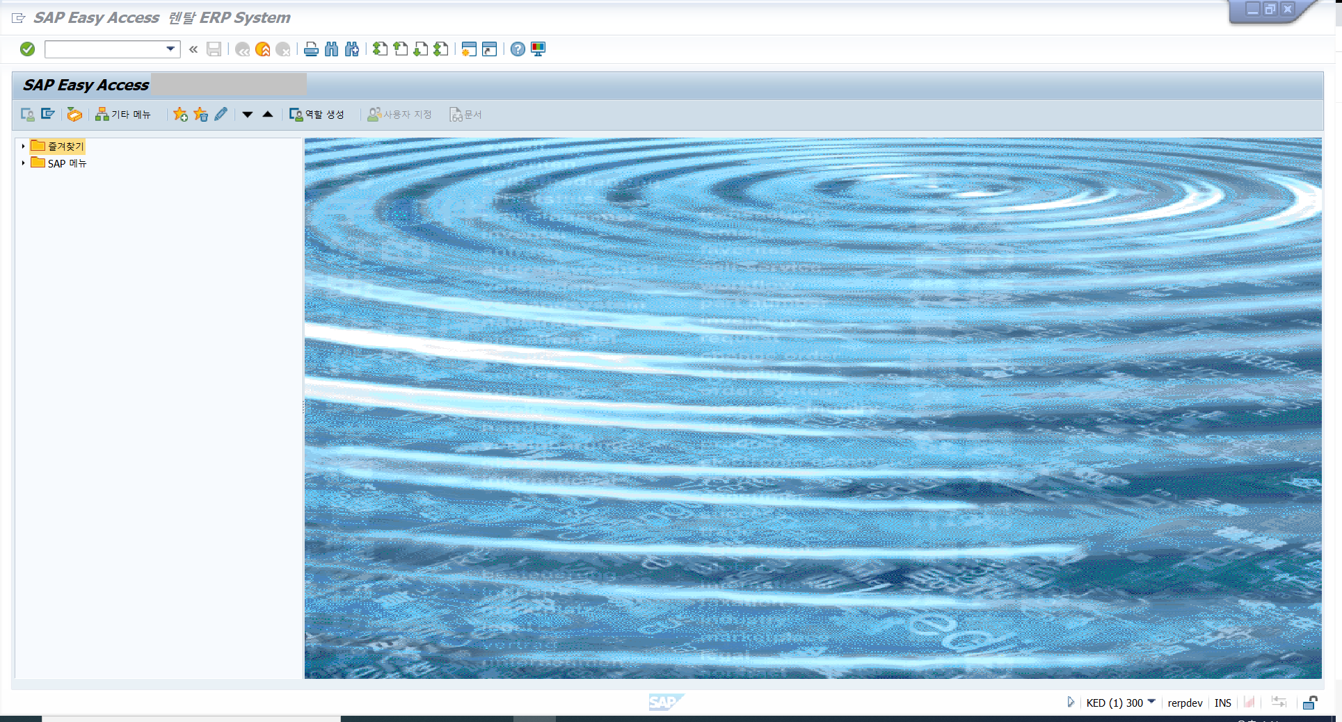 [SAP Navigation/Tips] SAP GUI 접속하기