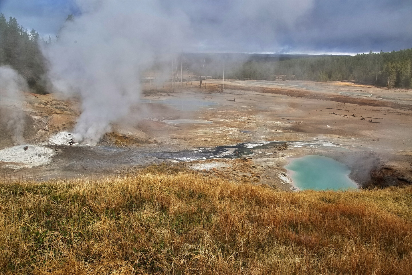 Yellowstone 국립공원의 Norris Geyser