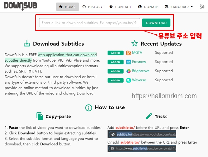 유튜브 자막 간단하게 다운로드, 추출하는 방법- 할로미스터김