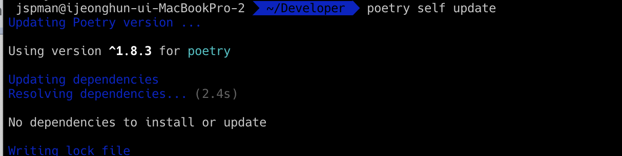 Poetry: 파이썬 프로젝트 관리의 새로운 표준
