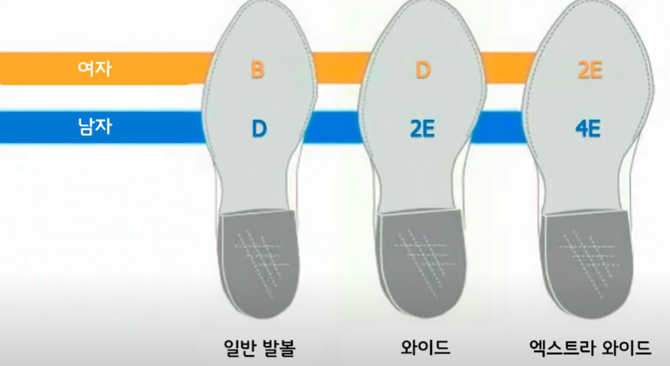 다이어트 런닝화 잘 고르는 방법 및 발 볼 추천 브랜드