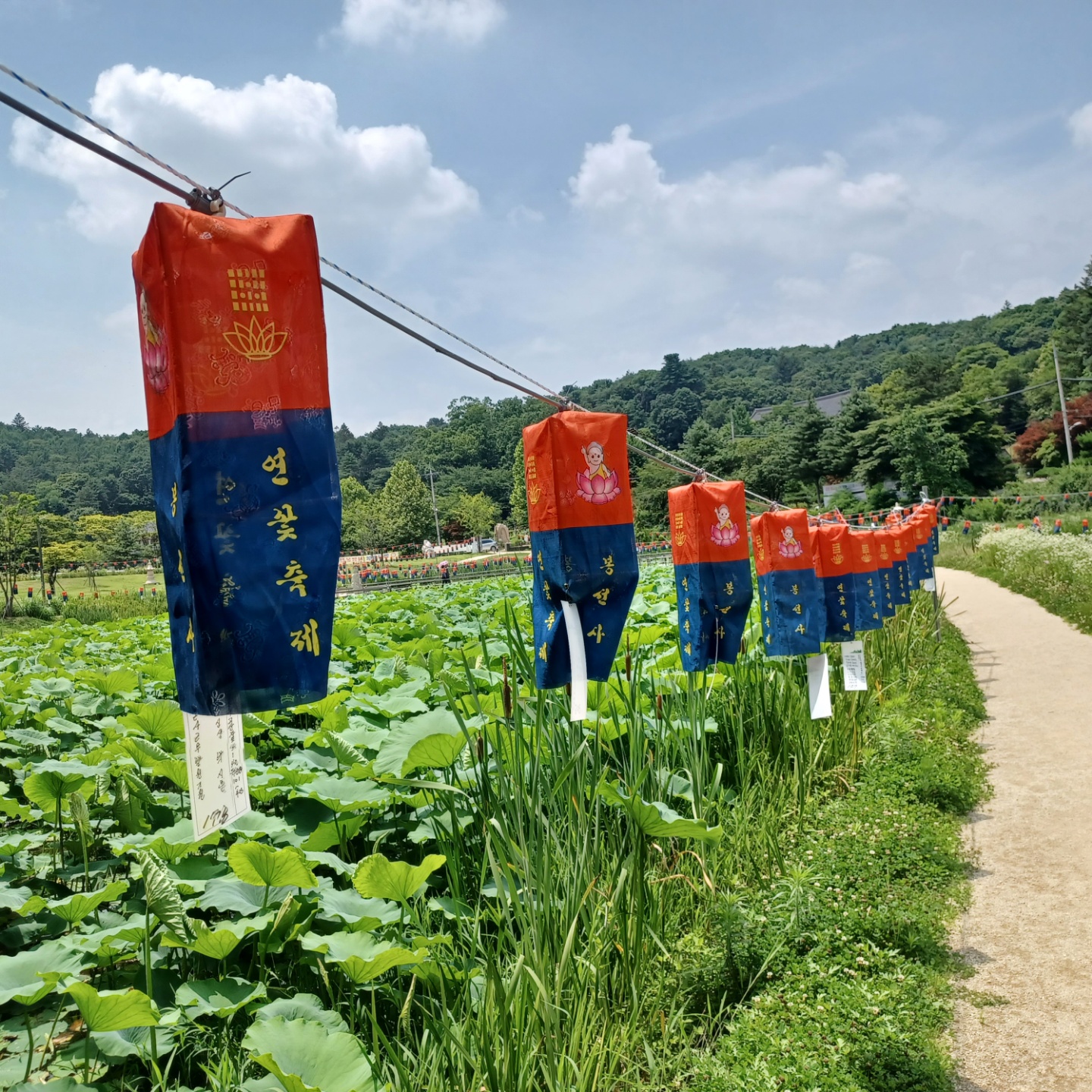 2021.7.1 광릉 봉선사 라이딩
