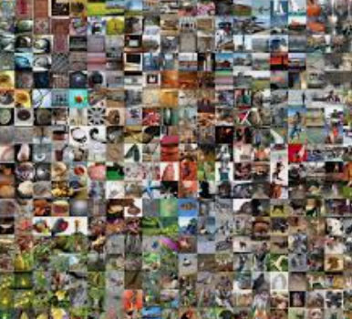 [Theme 04] Multinomial Logistic Regression (Softmax Regression)