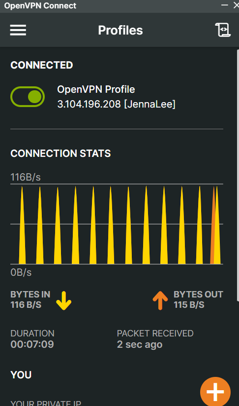 [Tryhackme] OpenVPN - CTF 문제 풀이를 위한 VPN 연결 — 시골쥐 해커