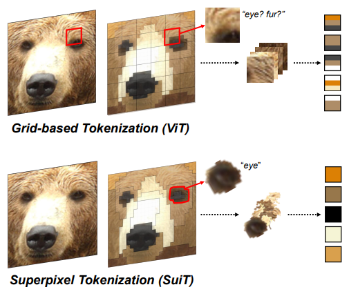 [리뷰]Superpixel Tokenization for Vision Transformers: Preserving ...
