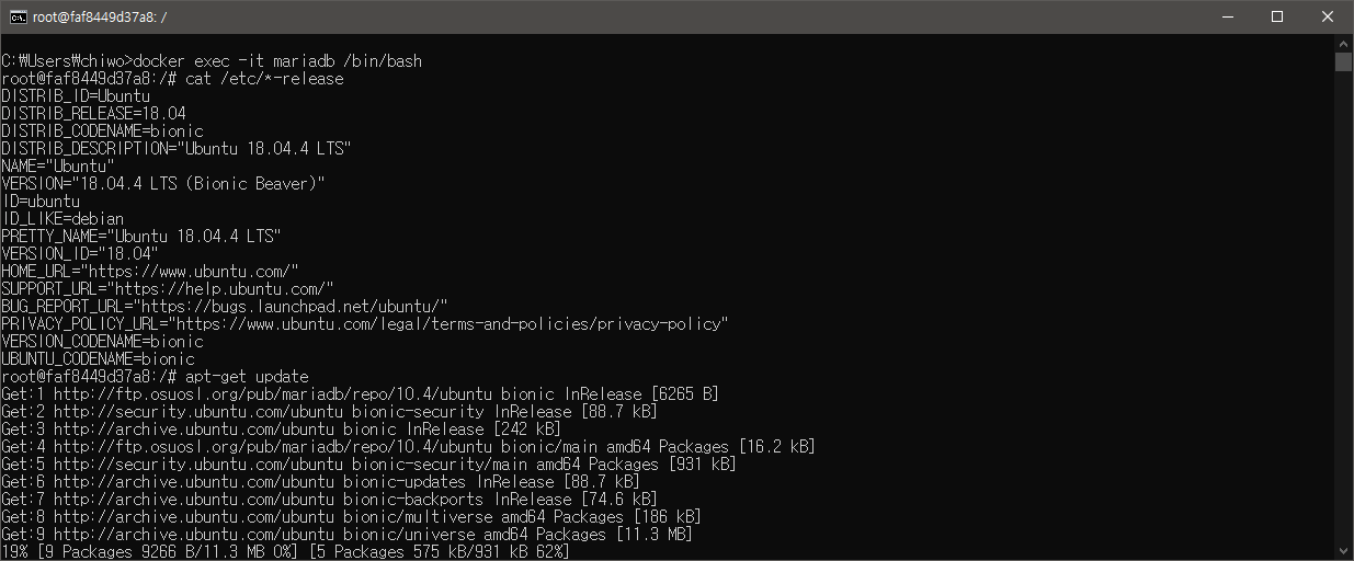 [Docker] 컨테이너 bash에 vim 설치하기 — 논리적 코딩