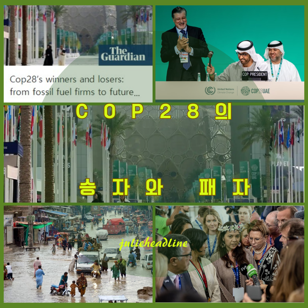 변화의 물결을 헤쳐나가기: COP28의 승자와 패자