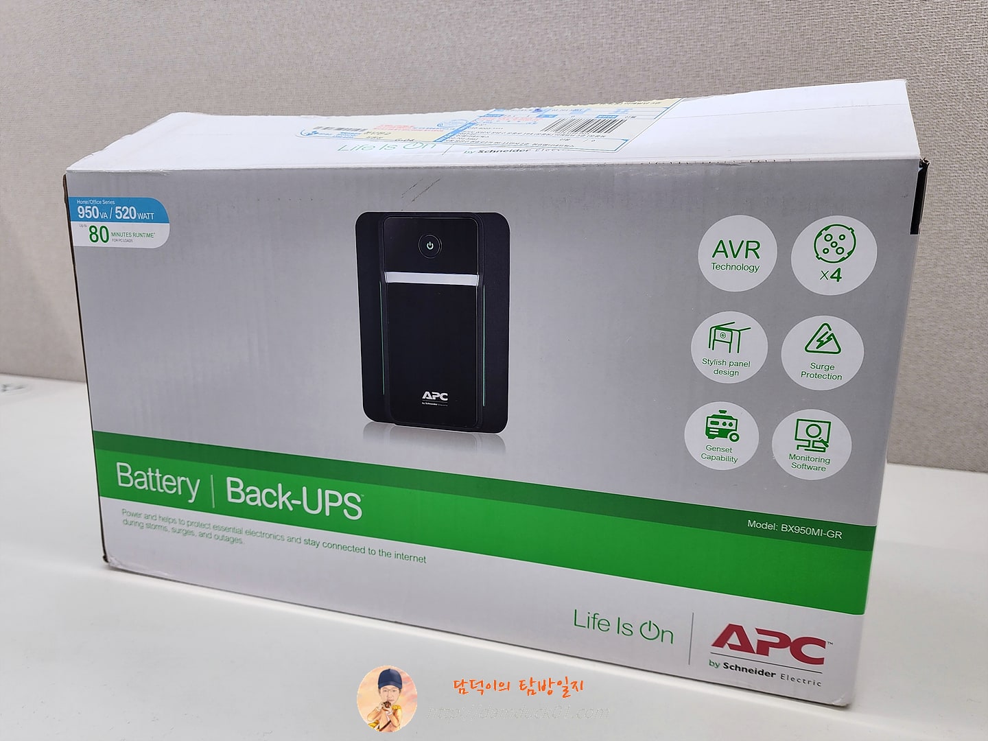 정전으로부터 NAS를 보호하기 위한 소형 UPS. APC BX950MI-GR 리뷰.