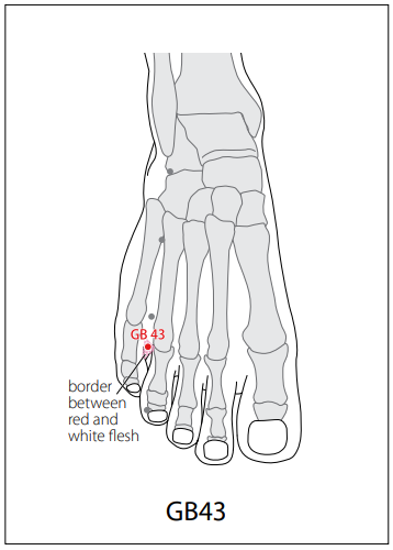 족소양담경(GB) > GB43 협계 (俠谿) - 오케파파(OKePaPa)의 세상
