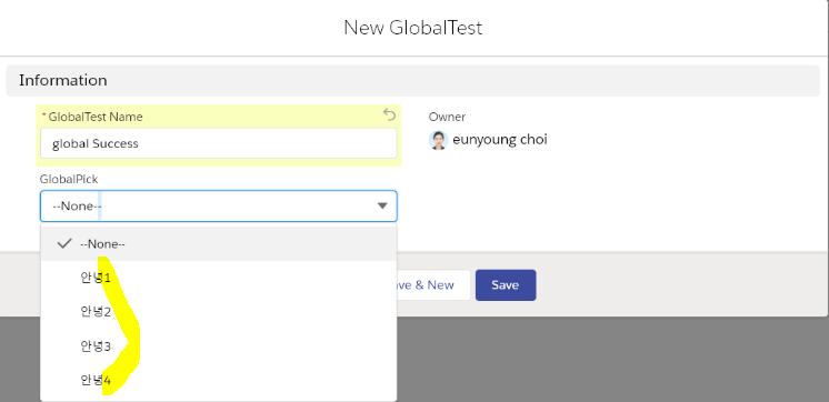 Global picklist 설정법
