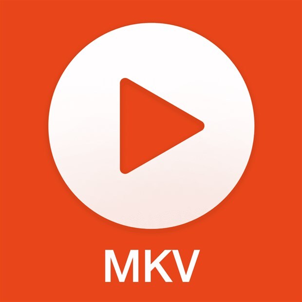 mkv 플레이어 및 코덱