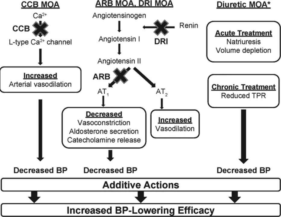 아프로바스크정 성분, 효과, 복용법, 부작용, 가격