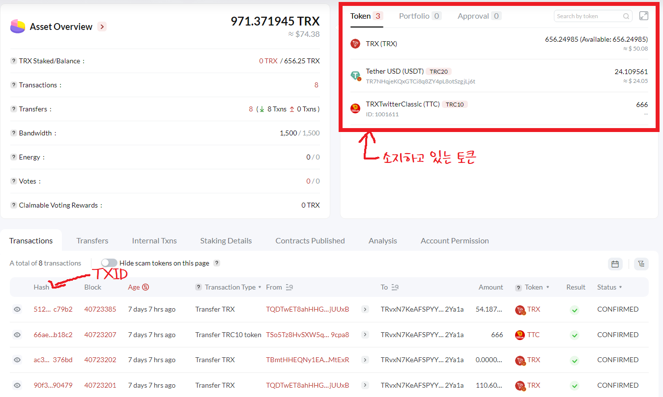[TXID 확인팁] 블록체인 네트워크별 스캔 사이트 소개 및 정리!