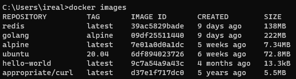 [docker] Commit 명령어를 이용한 이미지 생성
