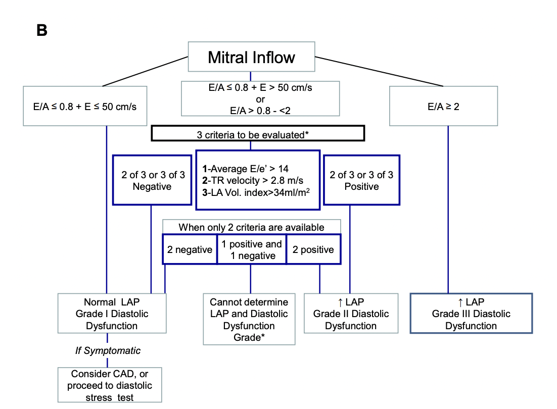 [2016 ASE] LV Diastolic Function by Echo