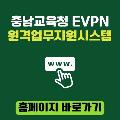 충남교육청 EVPN 원격업무지원시스템 (https://evpn.cne.go.kr)