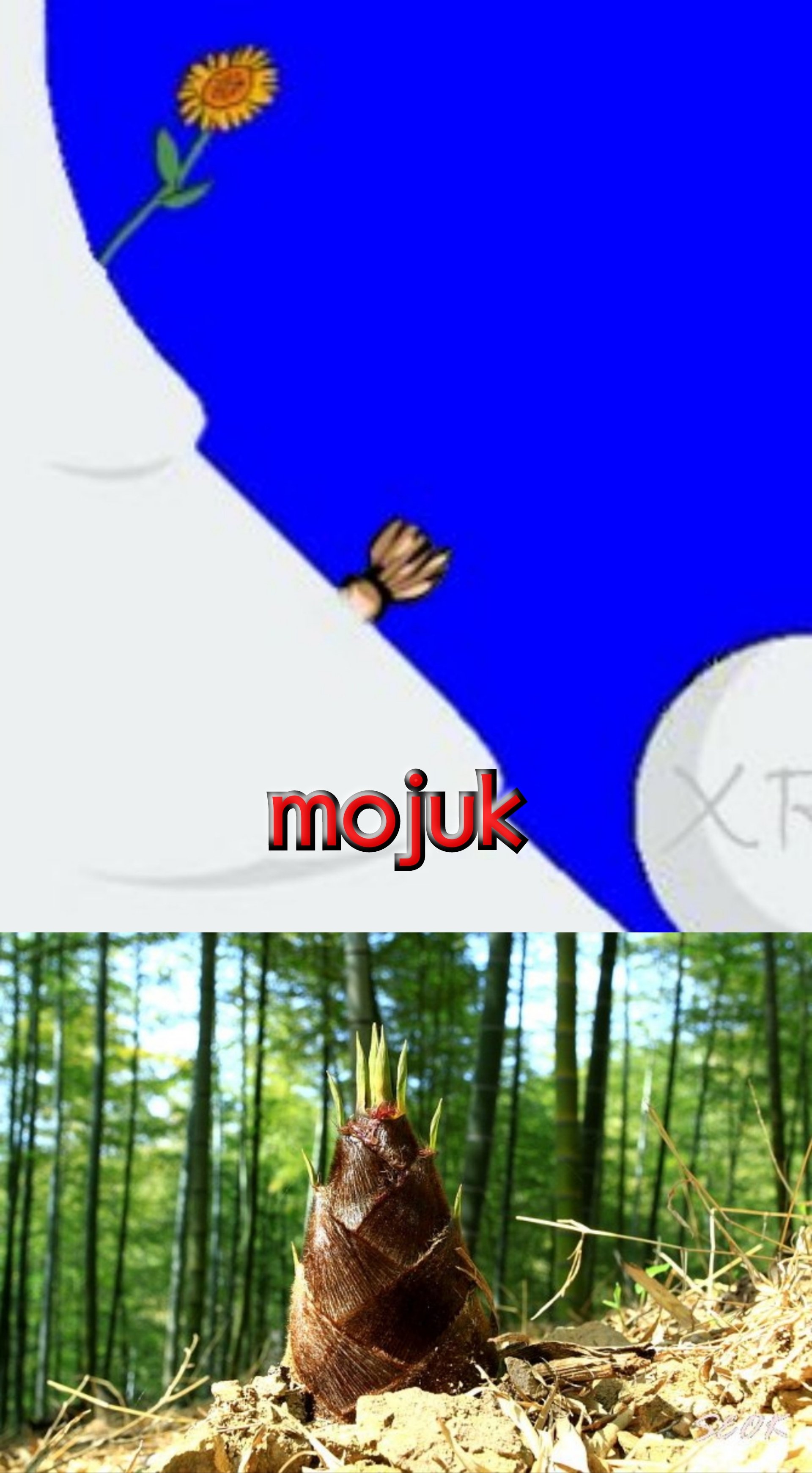 [#모죽과 닮은 #XRP] 피닉스의 부상🔥🔥🔥