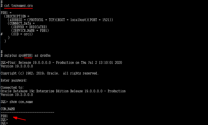 오라클 멀티테넌트 DB 접속 방법 (Connect Multi-Tenant by SQLPlus)