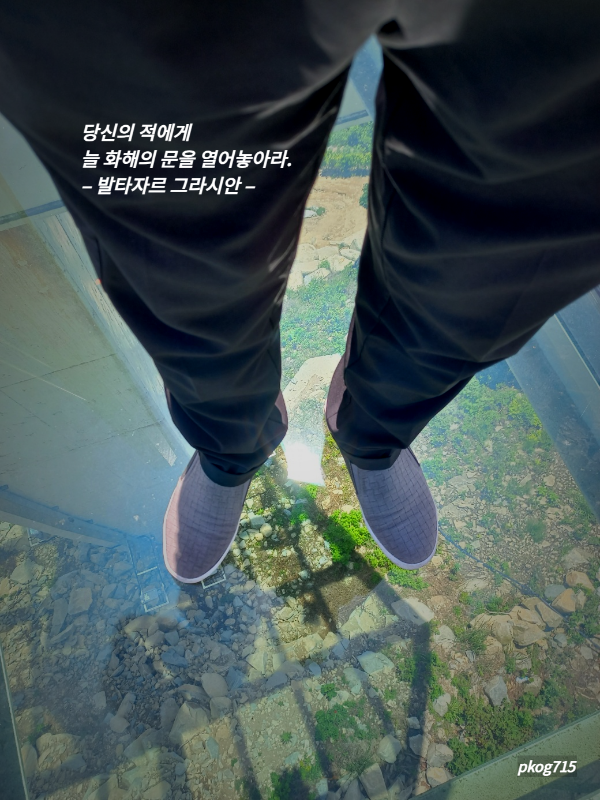 노인과 명언 21 / 발타자르 그라시안, 센다 타쿠야