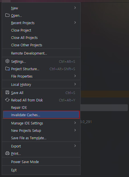 Intellij - Maven Dependency 추가해도 라이브러리 import 안될 때