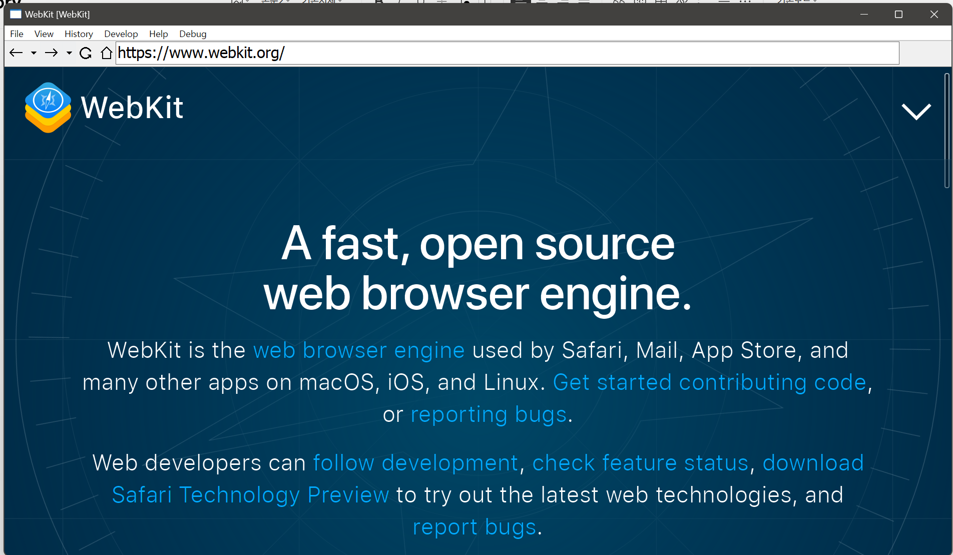 윈도우에서도 사파리 브라우저 환경 테스트하기