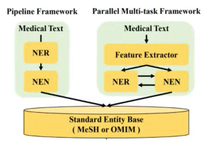 End-to-End Progressive Multi-Task Learning Framework for Medical Named Entity Recognition and Norm