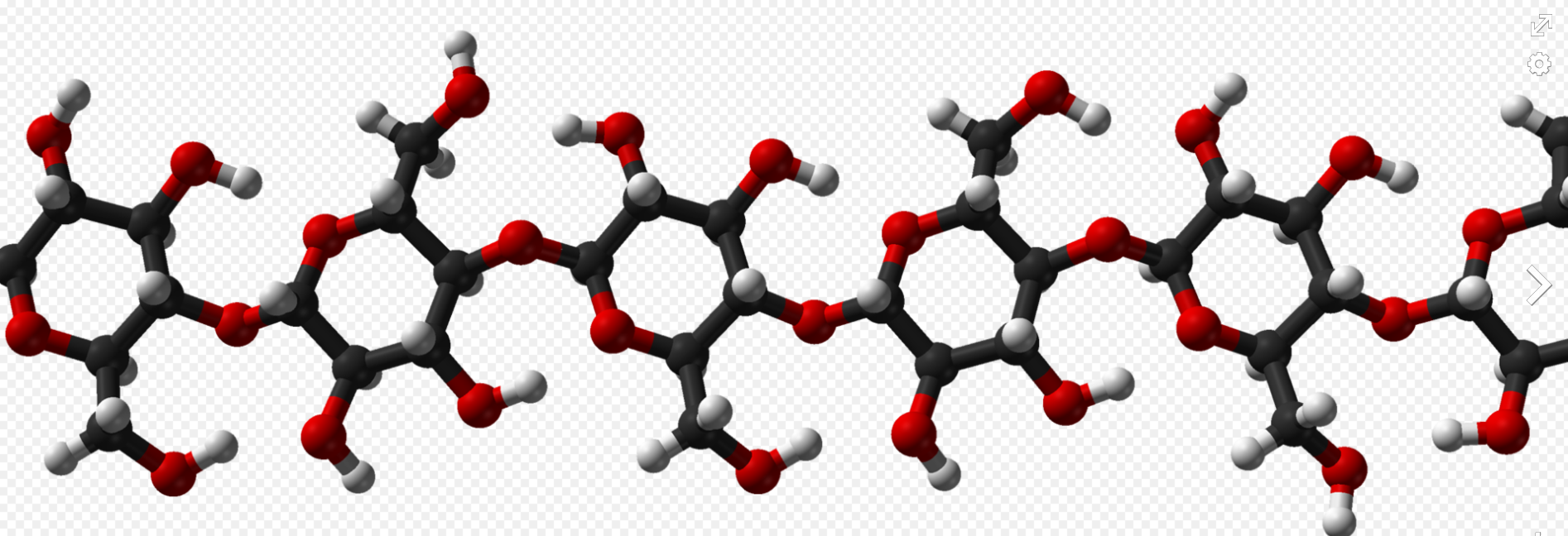 다당류는 중합체 탄수화물 분자이다.