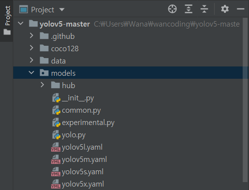 [Python] YoloV5 custom dataset 학습