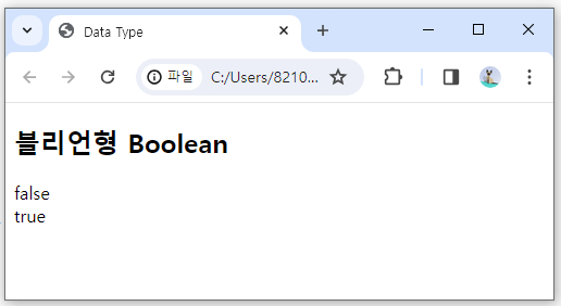 30. 기본 자료형 (Data Type)