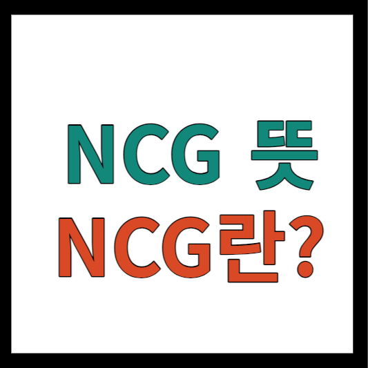 NCG 뜻, NCG란, NCG 운영, 주요 기능
