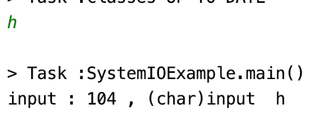 [자바/java] 표준입출력 System, RandomAccessFile