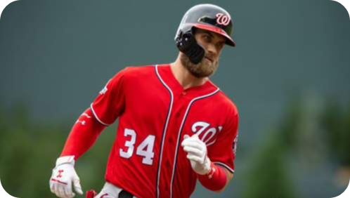 하퍼 프로필 보기